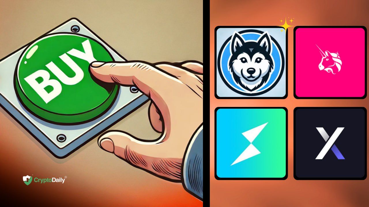 4 DEX Coins Set to Surge in November 2024 with Bitcoin’s Next Bull ...
