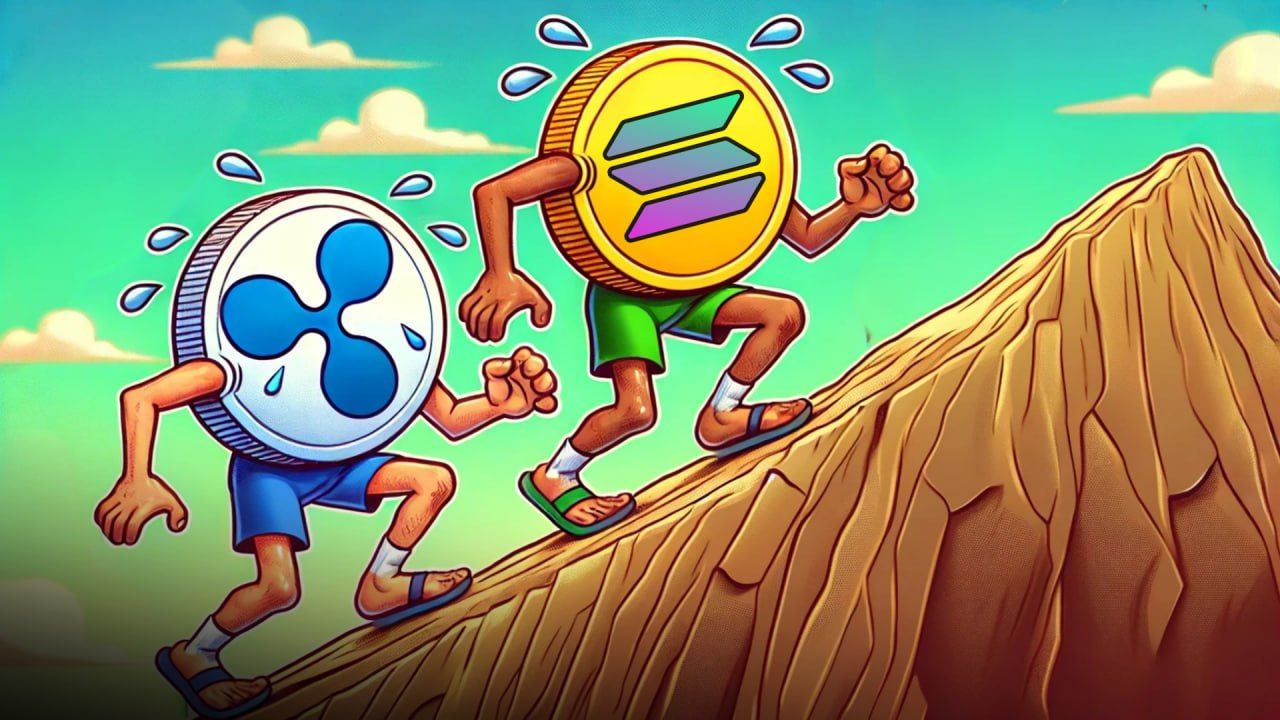 Live Derp Price Today: DERP to USD, Market Cap & Charts - Crypto Daily