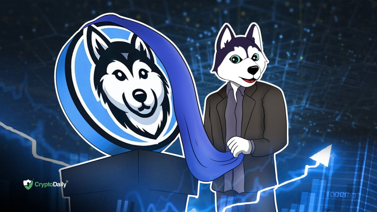 Husky Inu Sets Launch Date For Highly Anticipated HINU Token - Crypto Daily